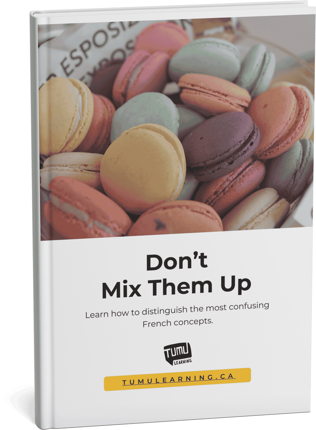 TEF Basics for Beginners: Free E-Book – Tumu Learning